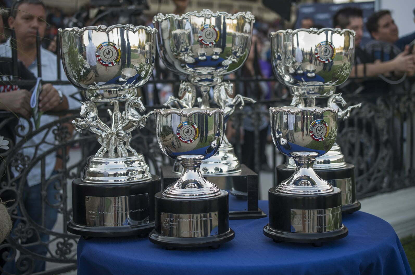 LGPL and LONGINES CUP 2019. The main characters and the winners - OSAF