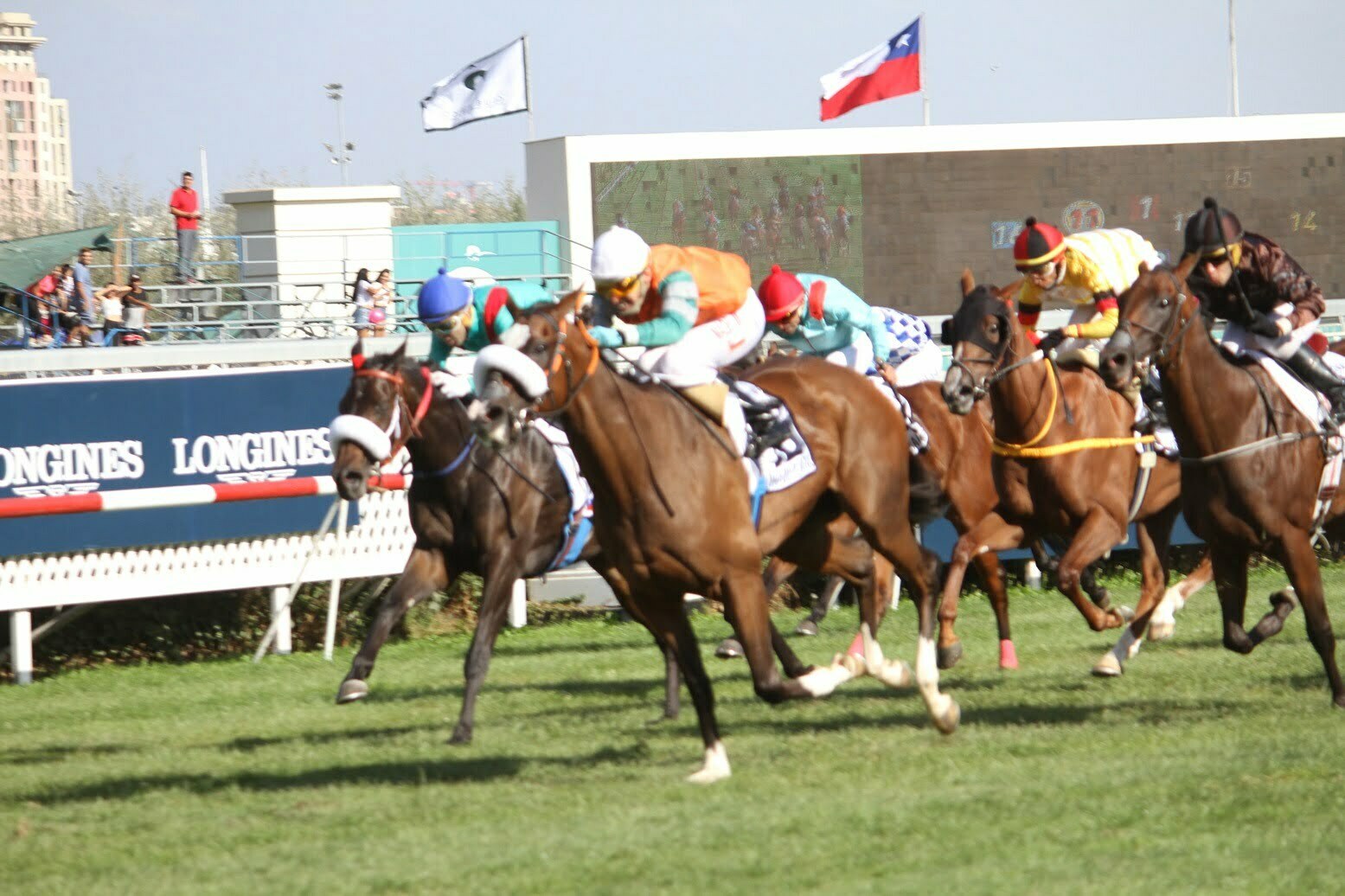 LGPL and LONGINES CUP 2019. The main characters and the winners - OSAF