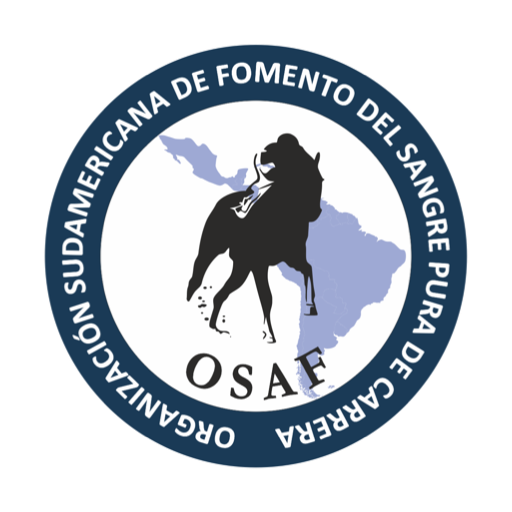 MEJORES PRÁCTICAS DENTRO DE LA ACTIVIDAD HÍPICA - OSAF